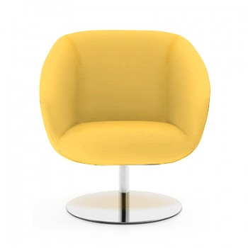 Area International USA